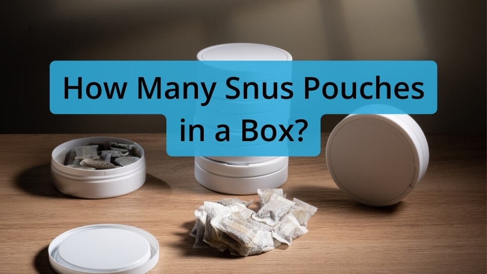 How Many Snus Pouches in a Box? | SnusDirect